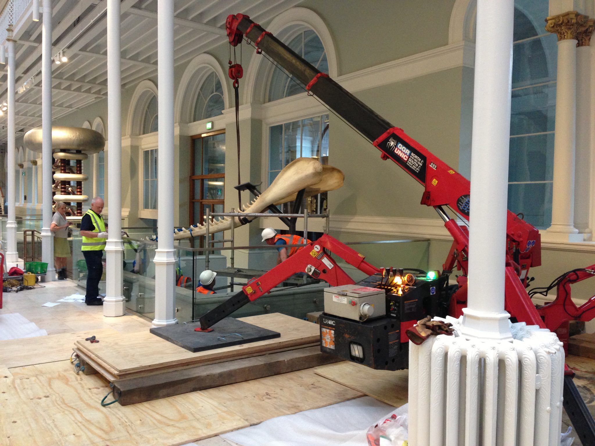 Mini Crane Lifts Whale's Skull for Museum Exhibit | Lift and Hoist ...