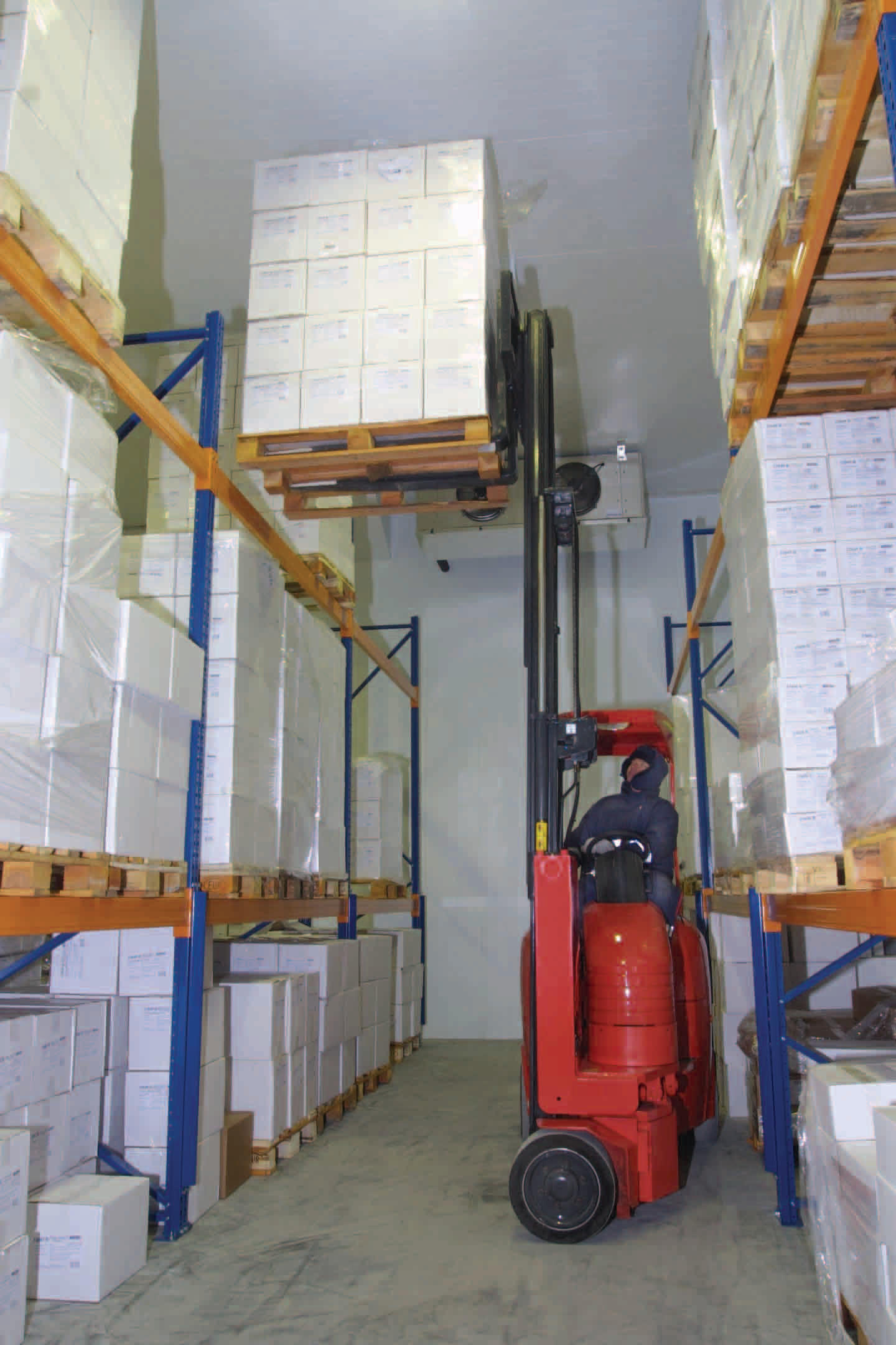 Lithium-ion powered Flexis deliver efficiency gains for Norish | Lift ...